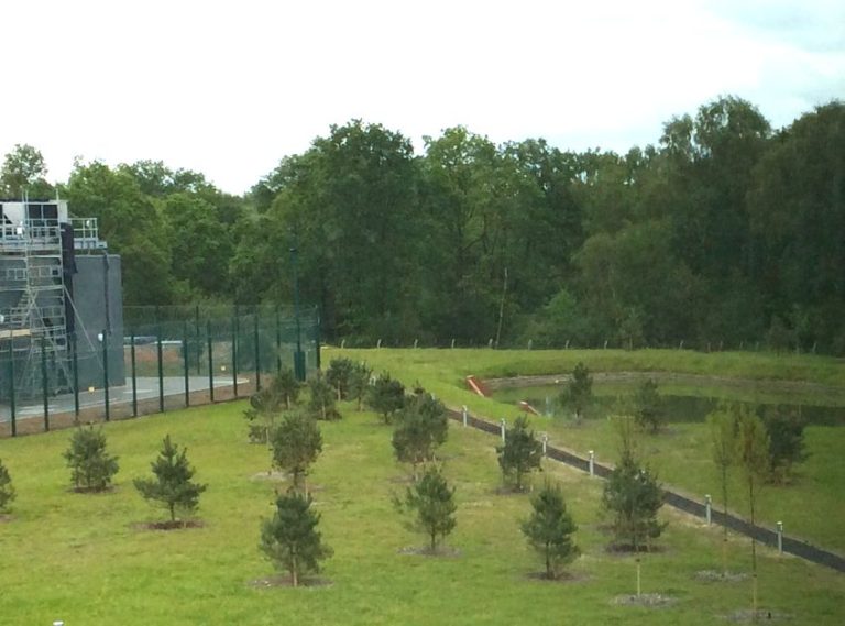 Cody Park, Farnborough – Bea Landscape Design Limited