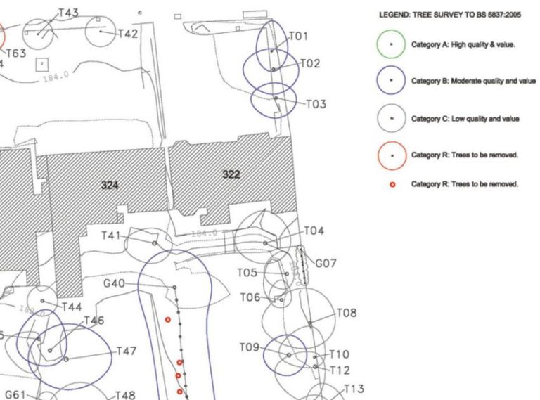 Arboriculture – Bea Landscape Design Limited