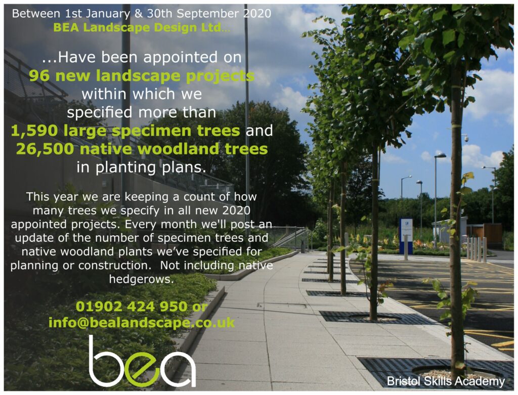 News – Bea Landscape Design Limited