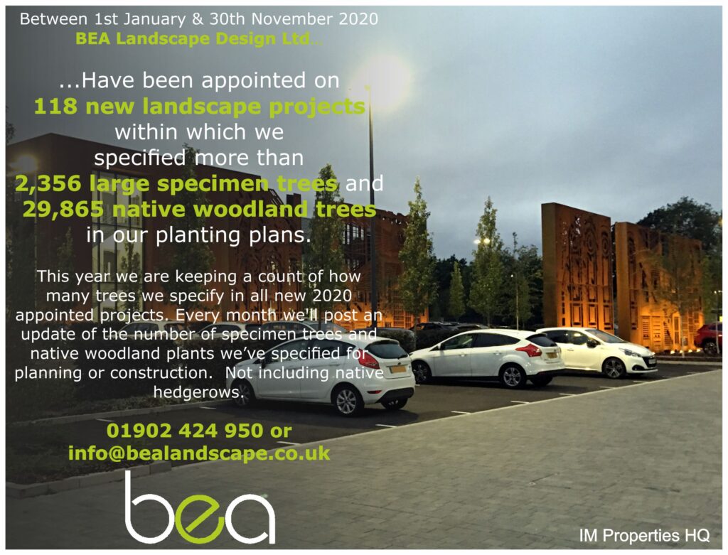 News – Bea Landscape Design Limited